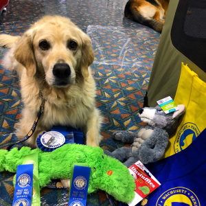 PAWPRINT DOGS - PawPrint Trials