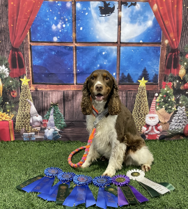 PAWPRINT DOGS - PawPrint Trials