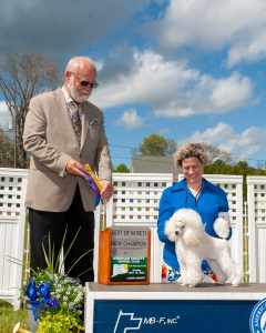 PAWPRINT DOGS - PawPrint Trials